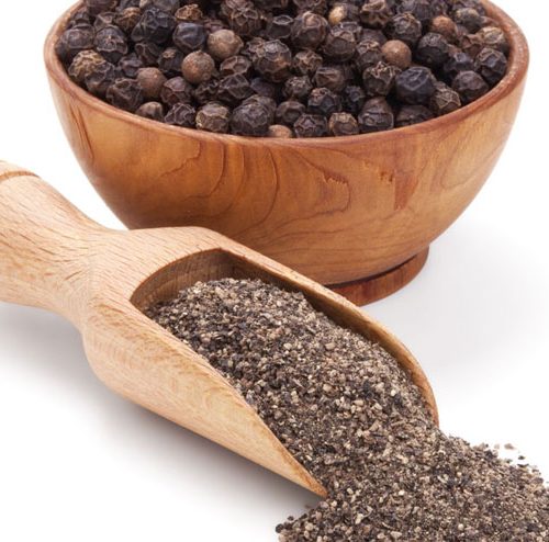 Native Spice Bush Australia